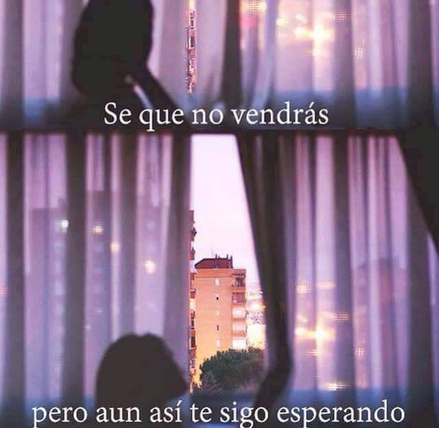 Te Sigo Esperando… - FRASES.PW