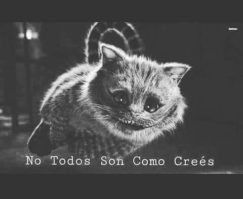 No Todos Son Como Crees - FRASES.PW
