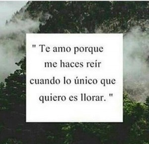 Te Amo Porque Me Haces Reír - FRASES.PW