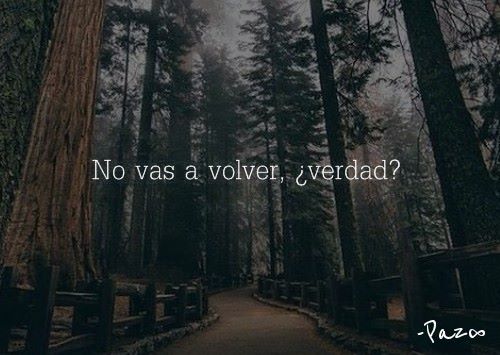 No Vas A Volver, ¿Verdad? - FRASES.PW