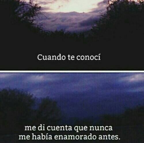 Cuando Te Conocí, Me Di Cuenta Que Nunca Me Habia Enamorado - FRASES.PW