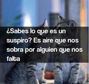 ¿Sabes Lo Que Es Un Suspiro? - FRASES.PW