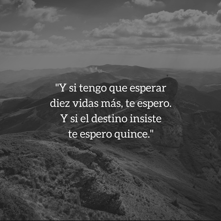 Si Tengo Que Esperar Diez Vidas Mas… - FRASES.PW