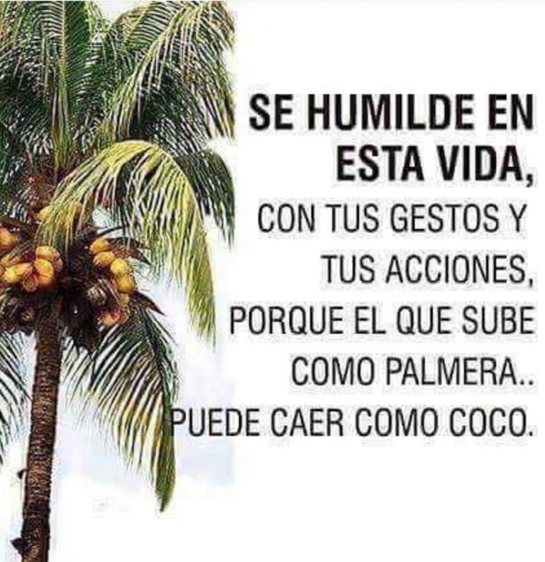 Se Humilde En Esta Vida - FRASES.PW