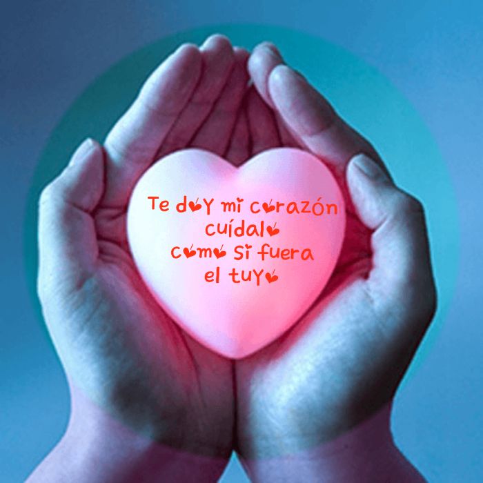 Te Doy Mi Corazón - FRASES.PW