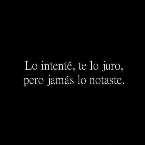 Lo Intente Pero Jamás Lo Notaste - FRASES.PW