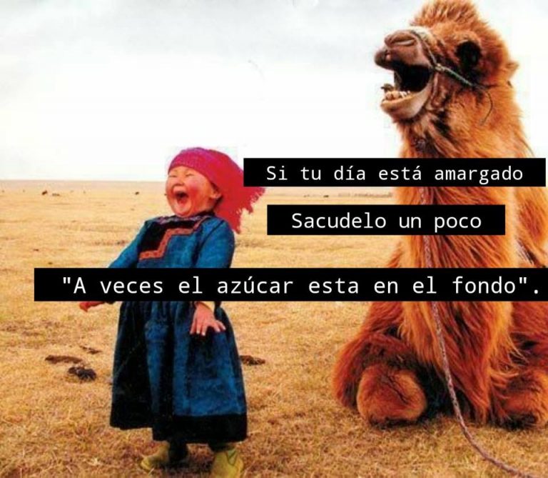 Si Tu Dia Esta Amargado Sacúdelo Un Poco - FRASES.PW