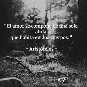 El Amor Se Compone De Una Sola Alma - FRASES.PW