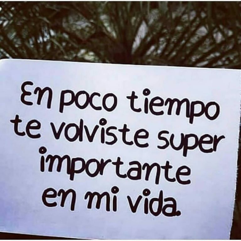 En poco tiempo te volviste super importante en mi vida - FRASES.PW
