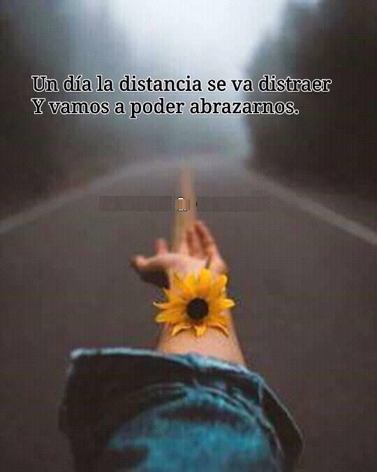 Un día la distancia se va distraer y vamos a poder abrazarnos - FRASES.PW