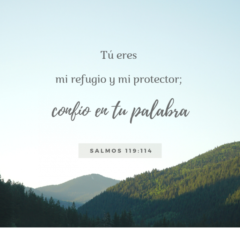 Tú eres mi refugio y mi protector; confío en tu palabra Salmos 119:114 - FRASES.PW