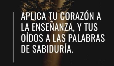 Yo Aprendí A Dar… - FRASES.PW