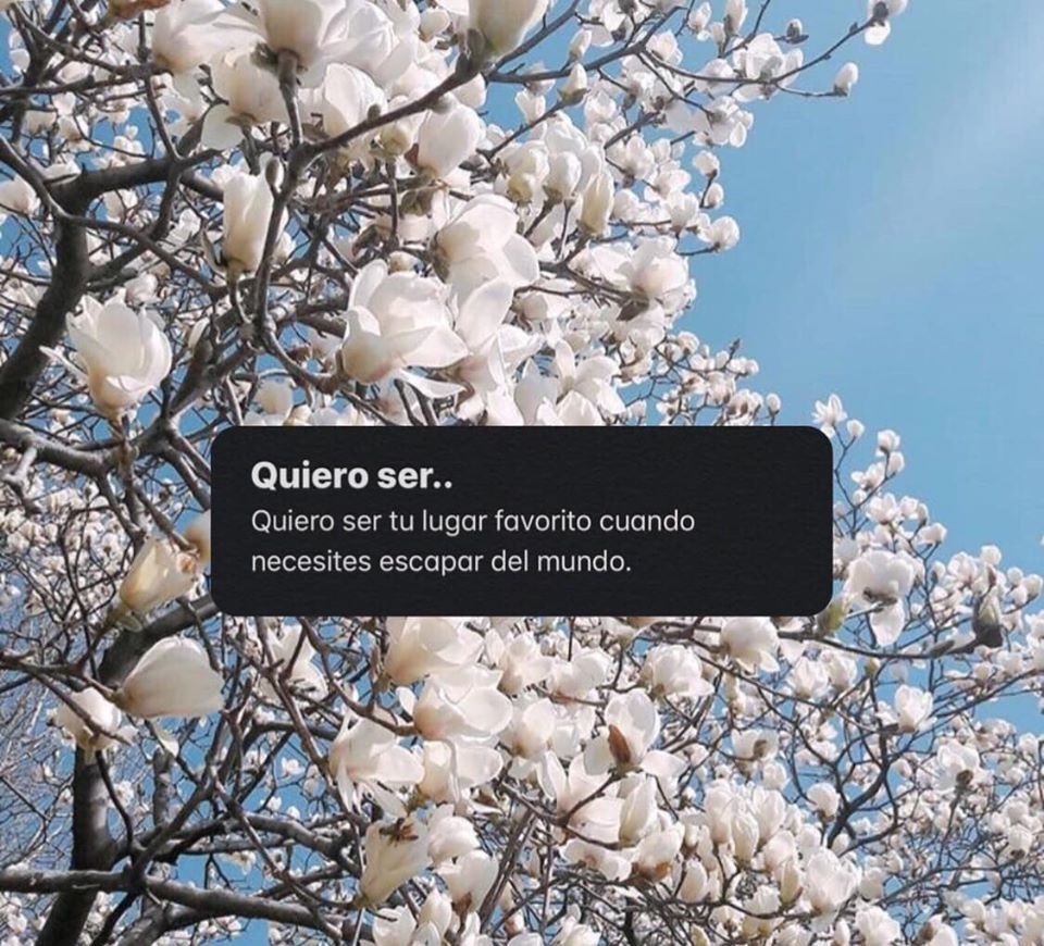 Quiero ser… Quiero ser tu lugar favorito - FRASES.PW