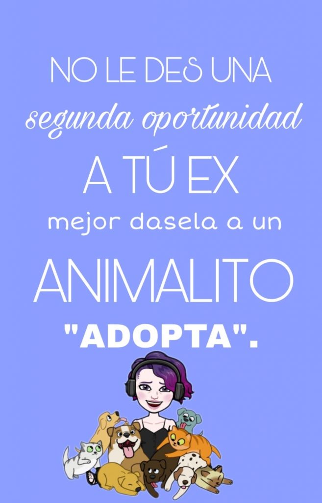 No le des una oportunidad a tu ex mejor dasela a un animalito Adopta ...