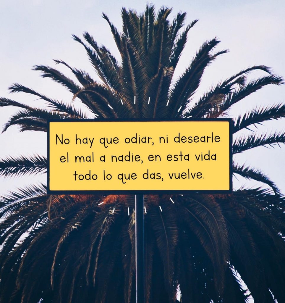 No hay que odiar, ni desearle el mal a nadie - FRASES.PW