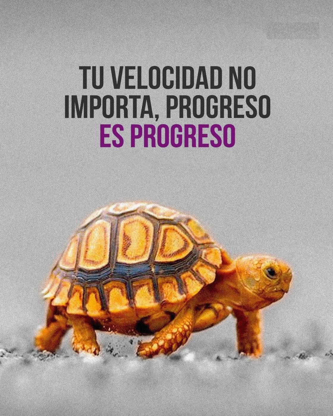 El Truco Esta En Volverse Fuerte De Corazón - FRASES.PW