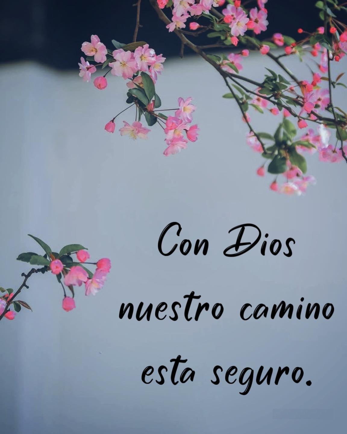 Mente positiva Fe en Dios y para delante - FRASES.PW