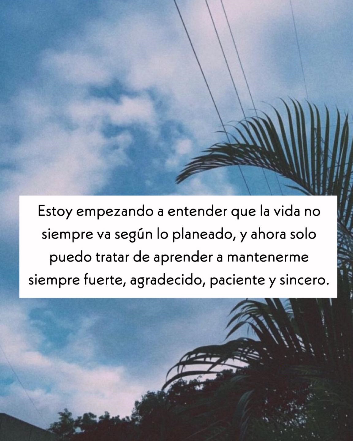Tu Primer Amor No Siempre Es La Primera Persona - FRASES.PW